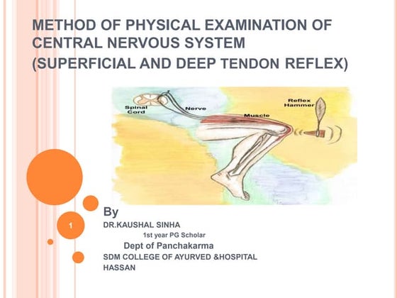 The Pulse and Deep Tendon Reflex Grading Scale | PPTX
