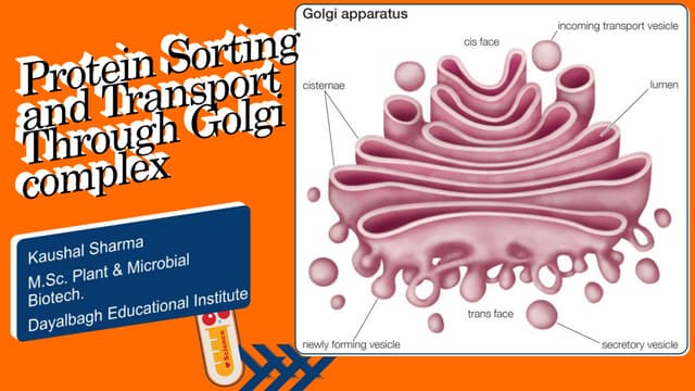 Golgi apparatus ppt (introduction structure and Function) | PPTX