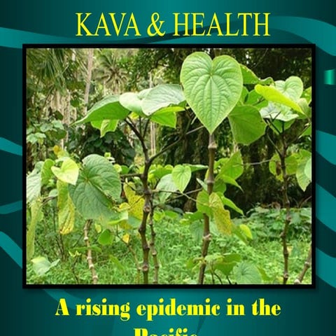 Kava & health | PPT