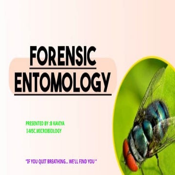 Forensic Entomology and insects & their lifecycles.pptx