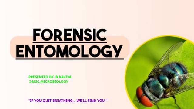 Forensic entomology | PPTX