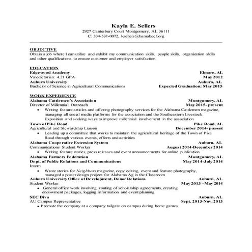 Michys Resume | DOCX