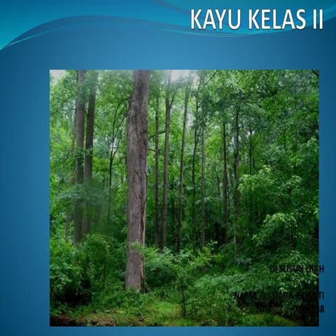 Jenis jenis kayu ( Kelas Kekuatan & Keawetan & Berat Jenis Kayu Indonesia )