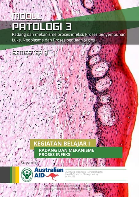 Interaksi genetika dan lingkungan | PDF