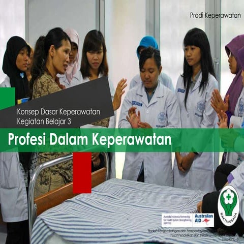 Profesi Dalam Keperawatan | PPT