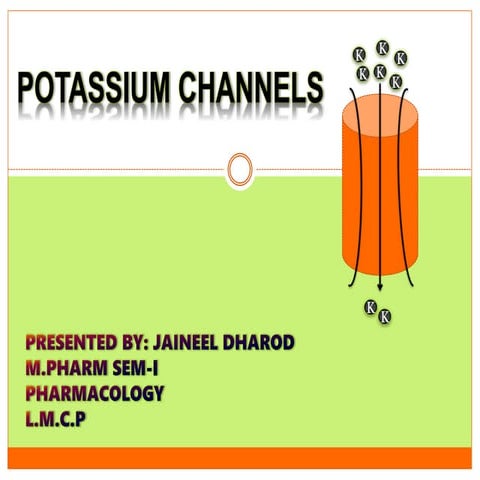 Potassium (K+) channels | PPTX