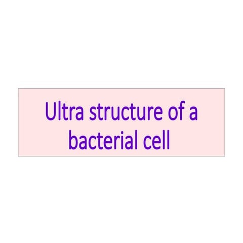 Share_Ultra_structure of a bacterial cell WPS_Office.pptx