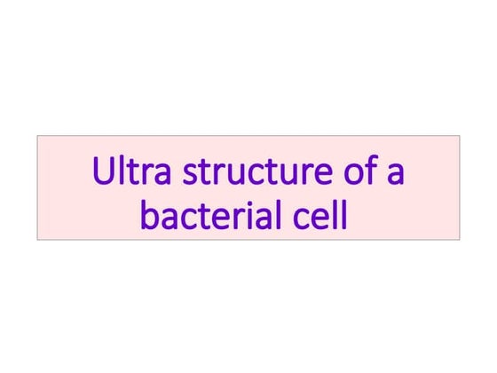 E.coli structure | PDF | Chemistry | Science
