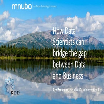 KDD 2019 IADSS Workshop - How Data Scientists can bridge the gap between Data and Business - Ary ...