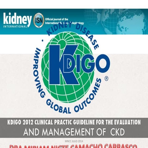 Kdigo 2012-irc, ira y guia nutricional en paciente con frc | PDF