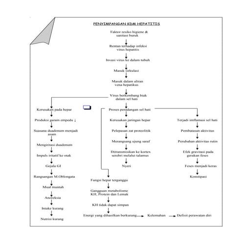 Kdm hepatitis AKPER PEMKAB MUNA | DOC