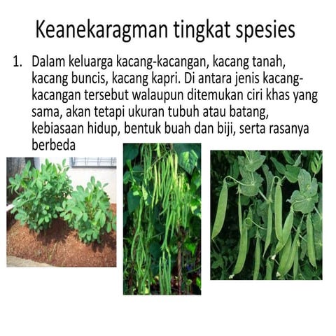 Keanekaragman tingkat spesies | PPT