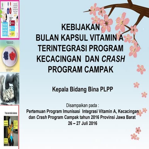 Kebijakan Crash Program Campak Jawa Barat.ppt