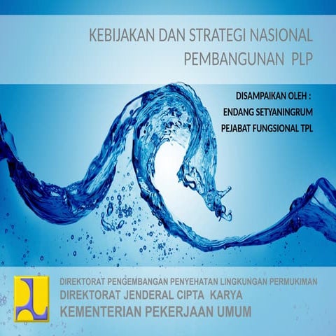 1111Kebijakan dan Strategi PLP (2013).ppt