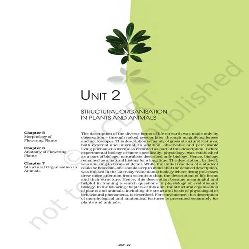 Types of stem by Sarah Ashfaq , Botanist | PPTX