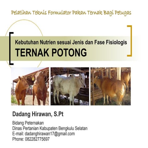 KEBUTUHAN NUTRISI SAPI POTONG SISTEM INTENSIF | PPTX