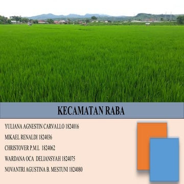 Data and Analysis of Detail Spatial Planning of RABA District of Bima ...