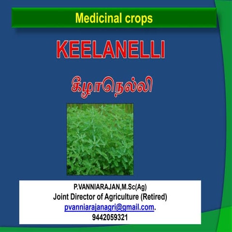 Keelanelli | PPT