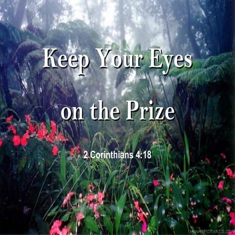 "Keep Your Eyes On The Prize!" | PPT