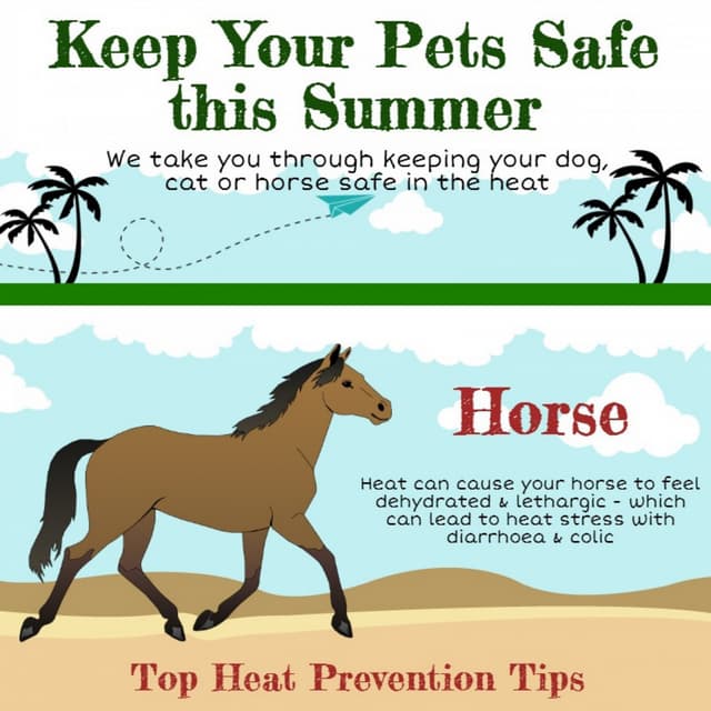 Keep Your Pets Safe this Summer | PDF