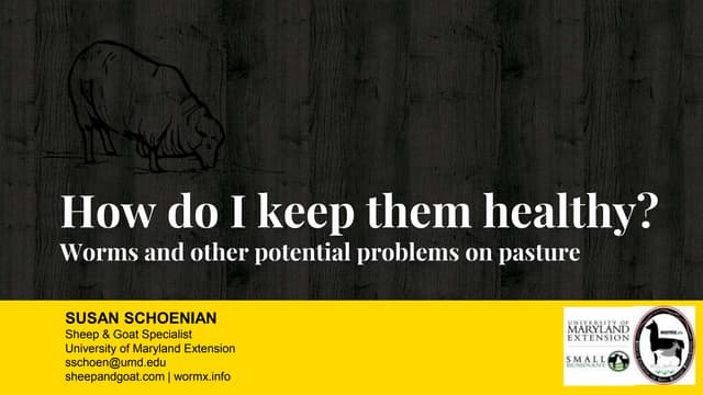 The Five Point Check® | PPTX