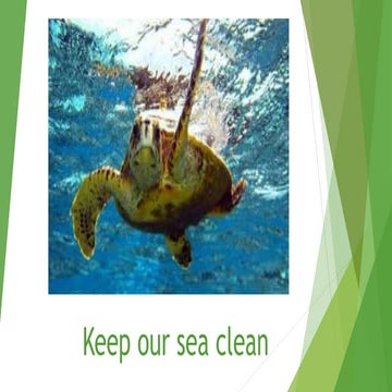 Keep our sea clean | PPTX