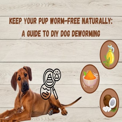 Keep Your Pup Worm-Free Naturally A Guide to DIY Dog Deworming.pdf