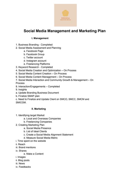 Smm plan | PDF