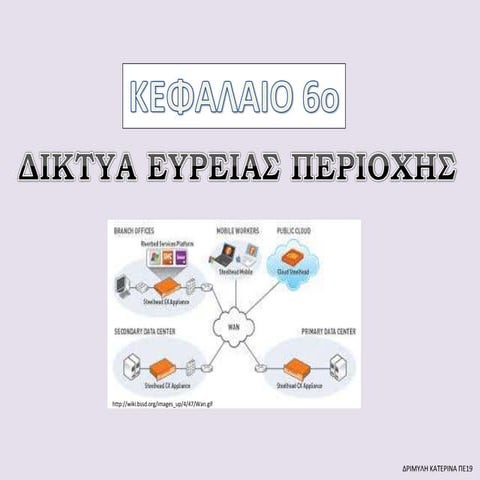 ΔΙΚΤΥΑ ΕΥΡΕΙΑΣ ΠΕΡΙΟΧΗΣ | PPTX