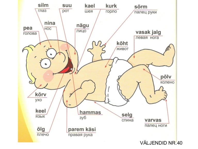 8V - meie klassi blogi: VENE KEEL