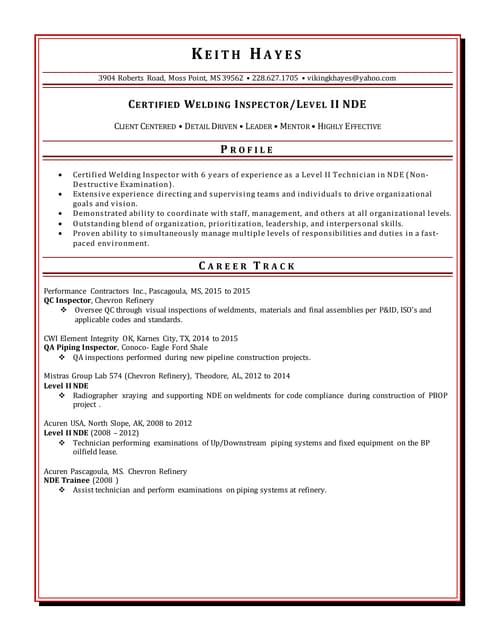 Resume Cristina | PDF