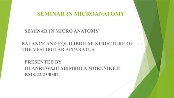 Physiology of equilibrium & balance | PPT | Brain and Nervous System ...