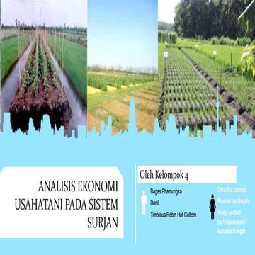 Analisis ekonomi usaha tani pada sistem surjan | PPTX