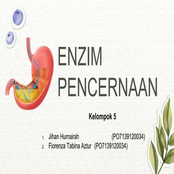 KEL 5 ENZIM PENCERNAAN.pptx