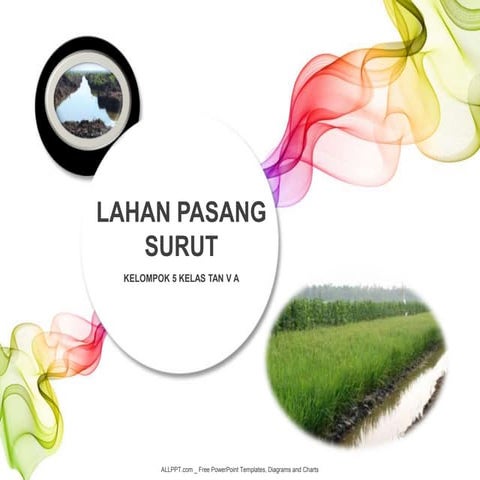 Lahan pasang surut | PPTX