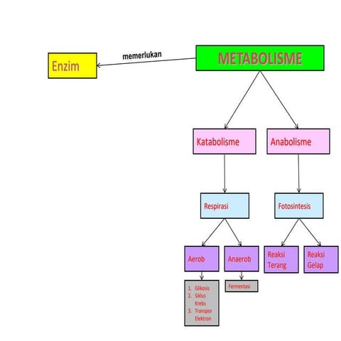 kelas 12 bab 2 enzim.pptx