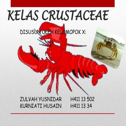 Kelas crustaceae klpk 10 | PPTX