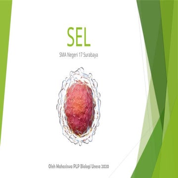 Materi Mata Pelajaran Sel kelas XI Sekolah Menengah Atas | PPTX