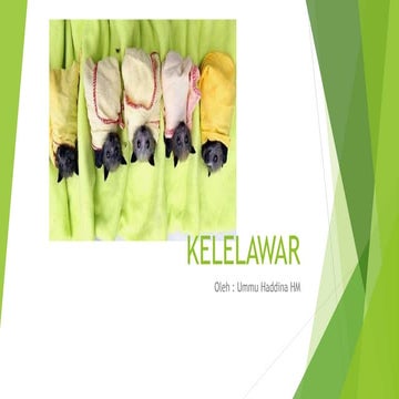 KELELAWAR.ppt.pptx