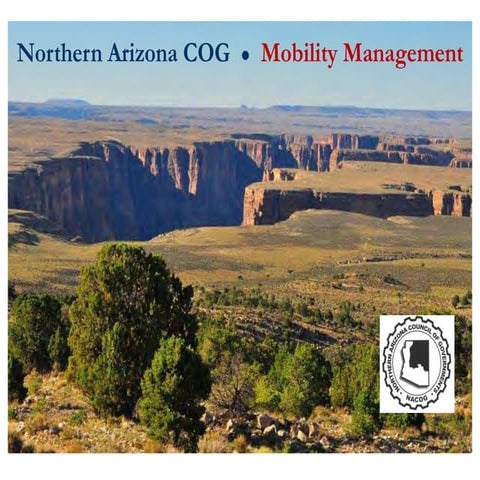 Human Resources and Workforce Capacity Building | PDF
