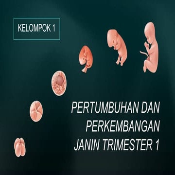 FETOMATERNAL, profesi kebidanan tahun 2023 | PPTX