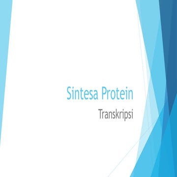 Sintesis Protein | PPSX