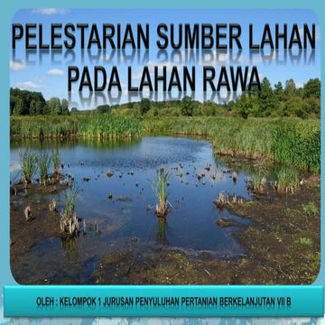 [New Upload] Kelompok 1 Tugas Pelestarian Sumber Daya Lahan Rawa | PPTX