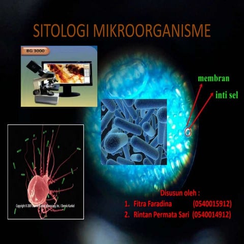 sitologi mikroorganisme | PPTX