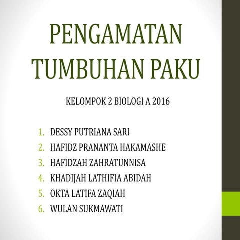 kelompok 2 BA(1) paku.pptx