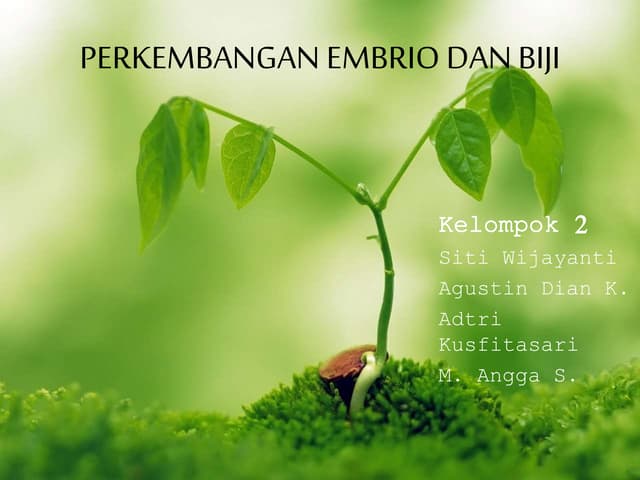 Struktur Biji dan Bagian-bagiannya | PPTX