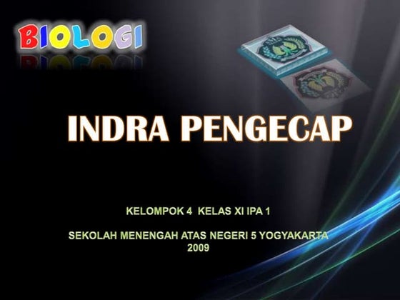 Anatomi & Fisiologi Lidah | PPTX