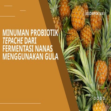Kelompok 5_A12_Tepache minuman probiotik | PPTX