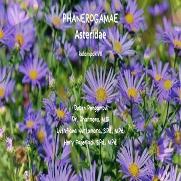 Kelompok 7_Asteridae_Muhammad Rifani Arsyad, Rapiah, Siti Mutrikah dan Suci_20250425_115933_0000.pdf