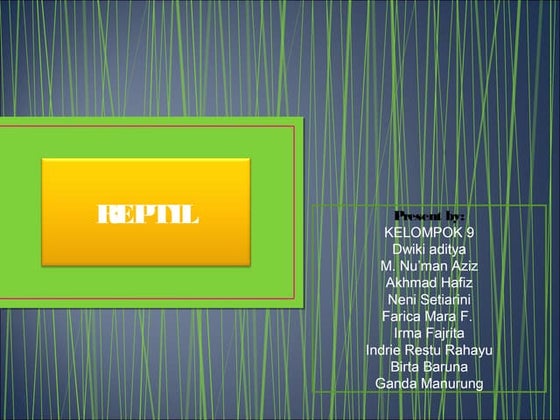 Benthos Subtidal | PPT